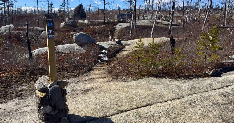 McIntosh Run Watershed Association – Enhancing the ecological integrity ...